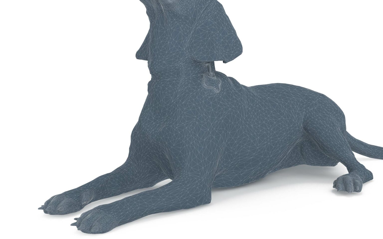 Beagle 3d dog collection 3d models - by Renderbot LLC