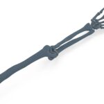 Human arm bones 3D Model - by Renderbot LLC
