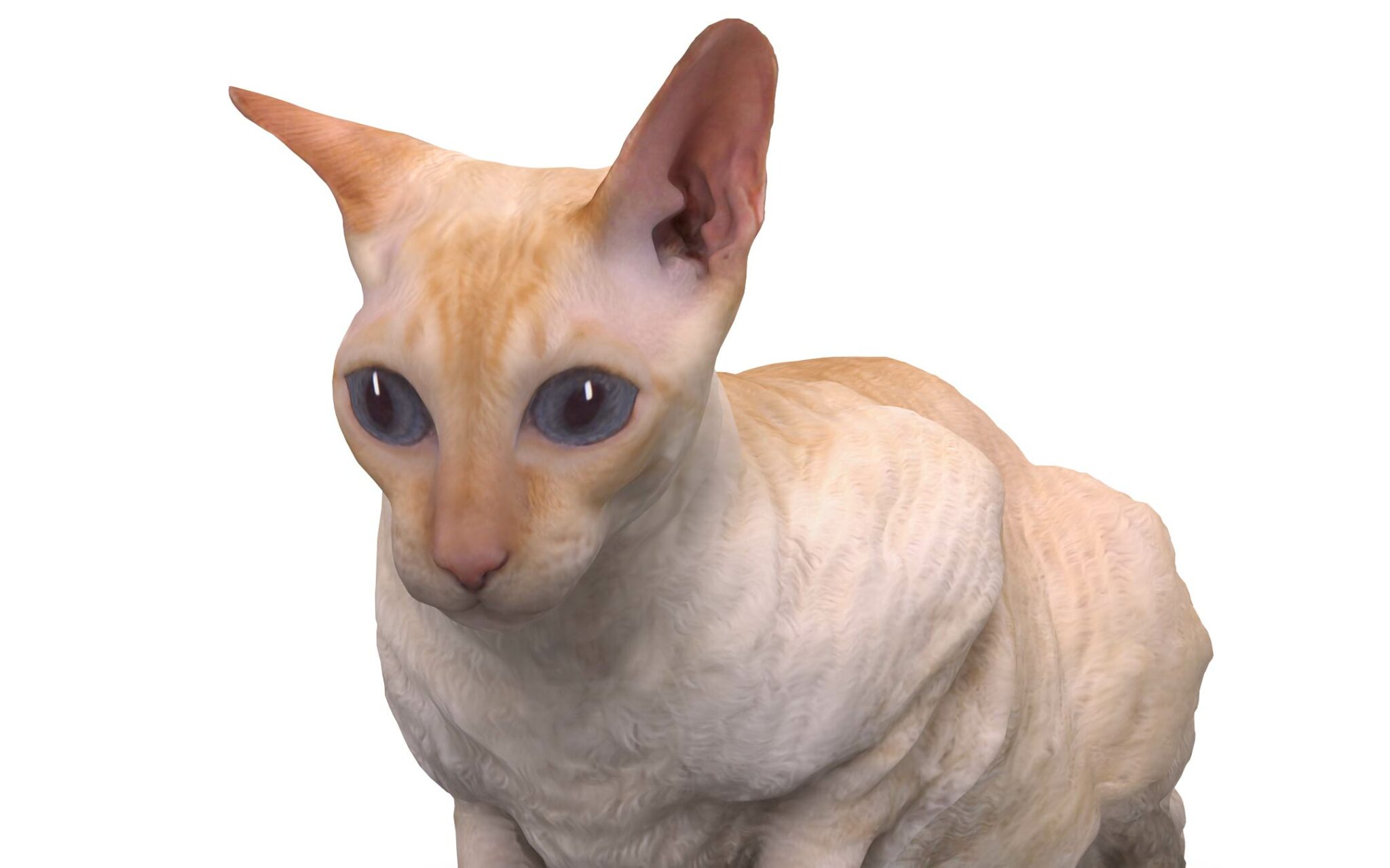 Sphinx sitting 3d model - by Renderbot LLC