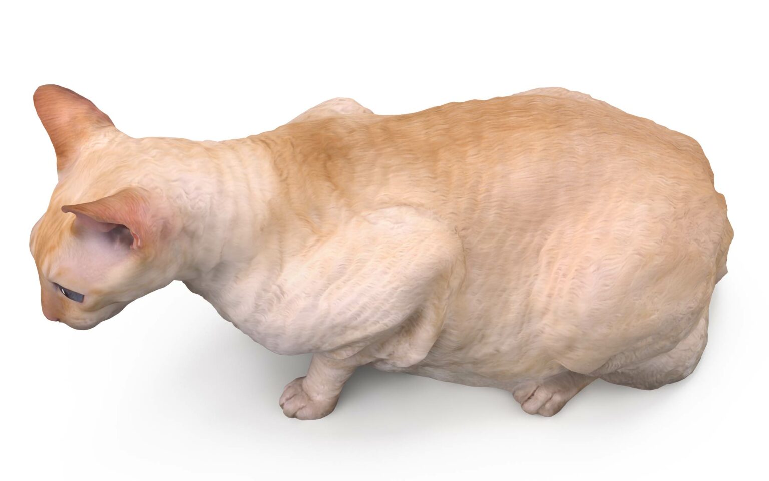 Sphinx sitting 3d model - by Renderbot LLC