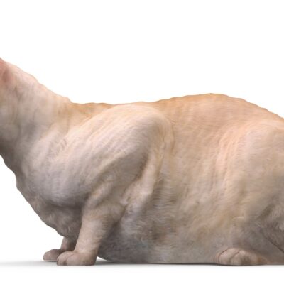 Sphinx sitting 3d model - by Renderbot LLC