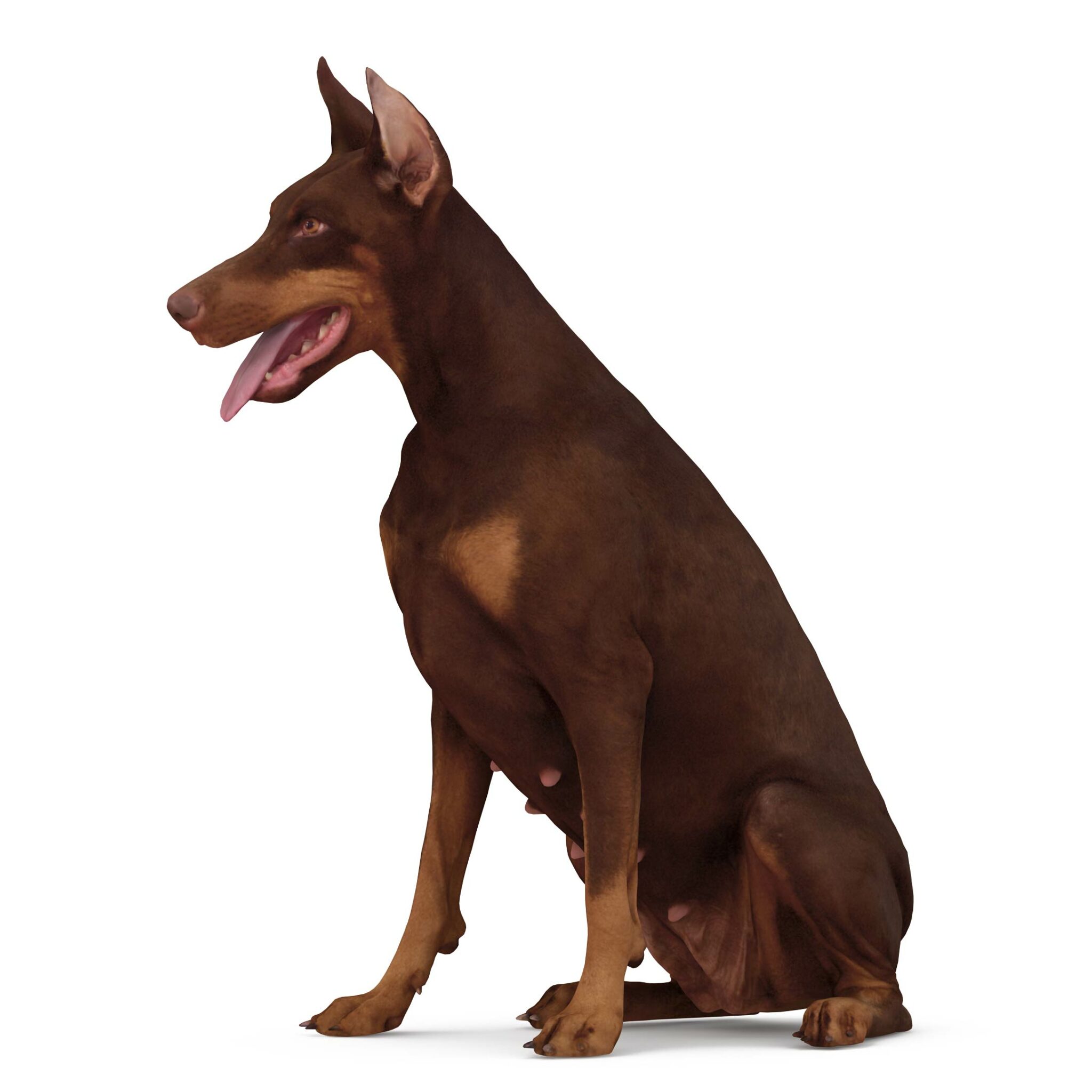 3d woman and doberman - 3d collection -Renderbot