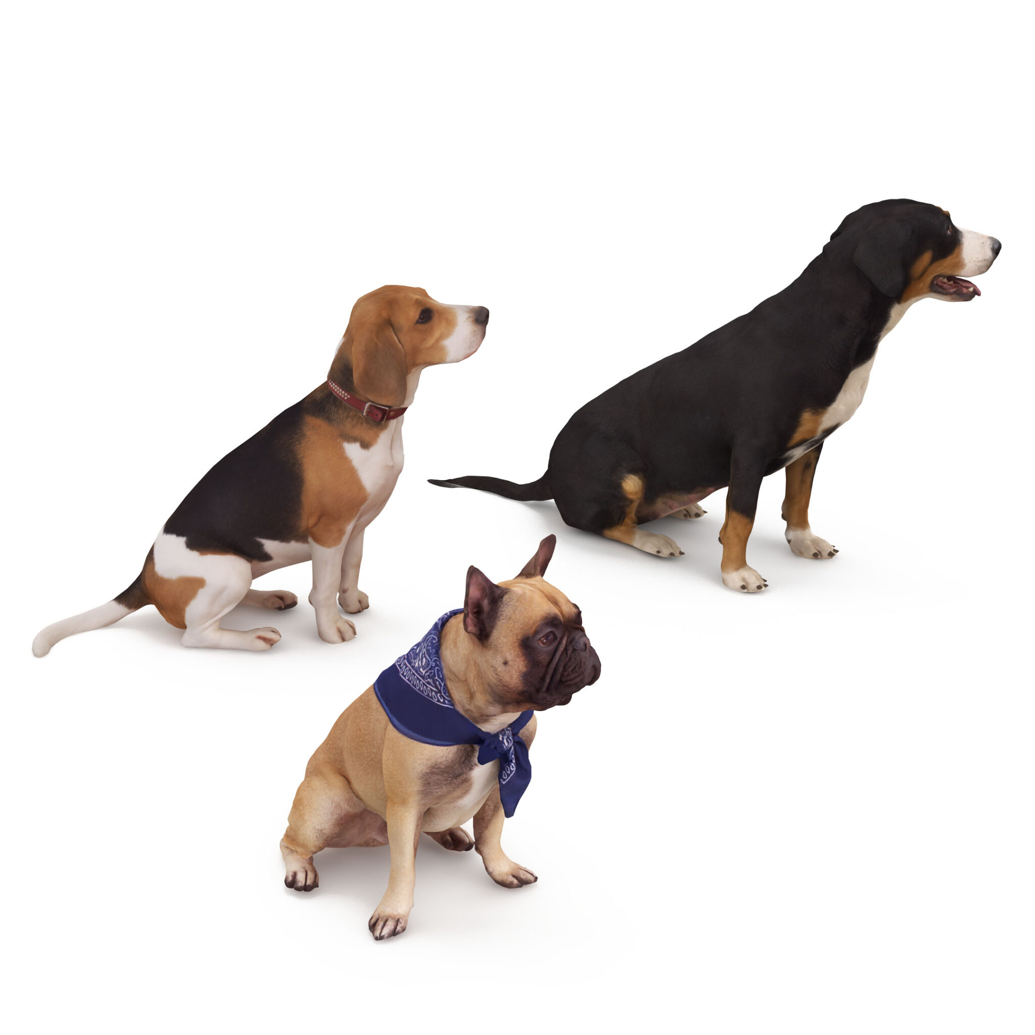 Sitting 3d dog collection x3 3d models - Renderbot
