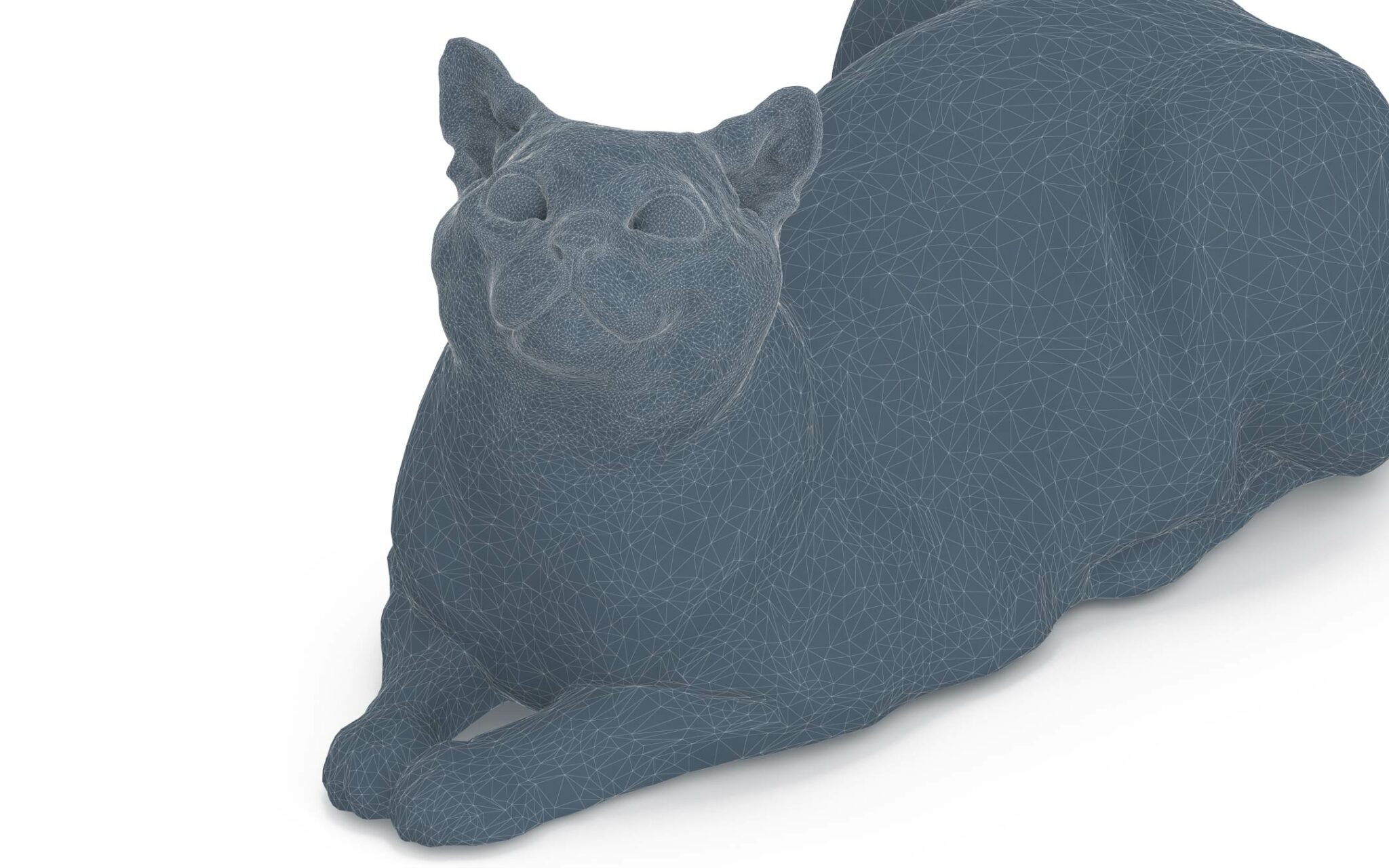 Abyssinian 3d scanned cat - scanned 3d model - Renderbot