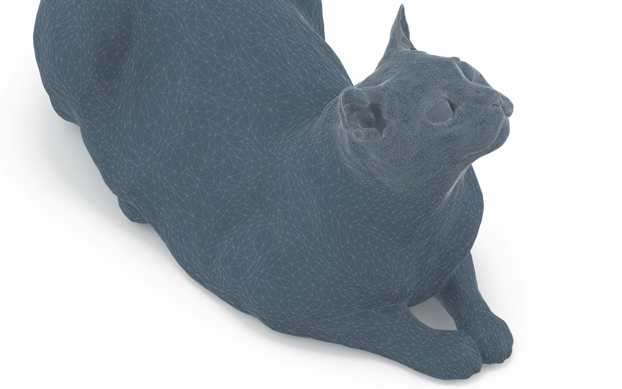 Abyssinian 3d scanned cat - scanned 3d model - Renderbot