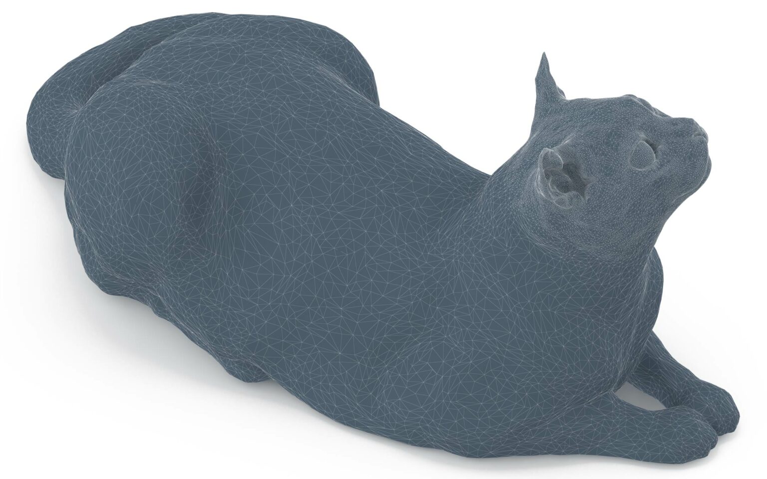 Abyssinian 3d scanned cat - scanned 3d model - Renderbot