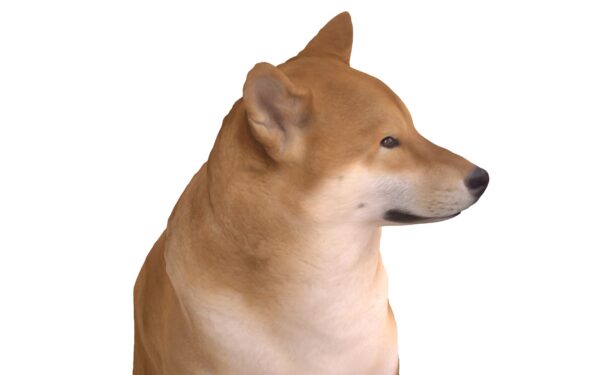 Shiba 3d dog sitting pose - scanned 3d model - Renderbot